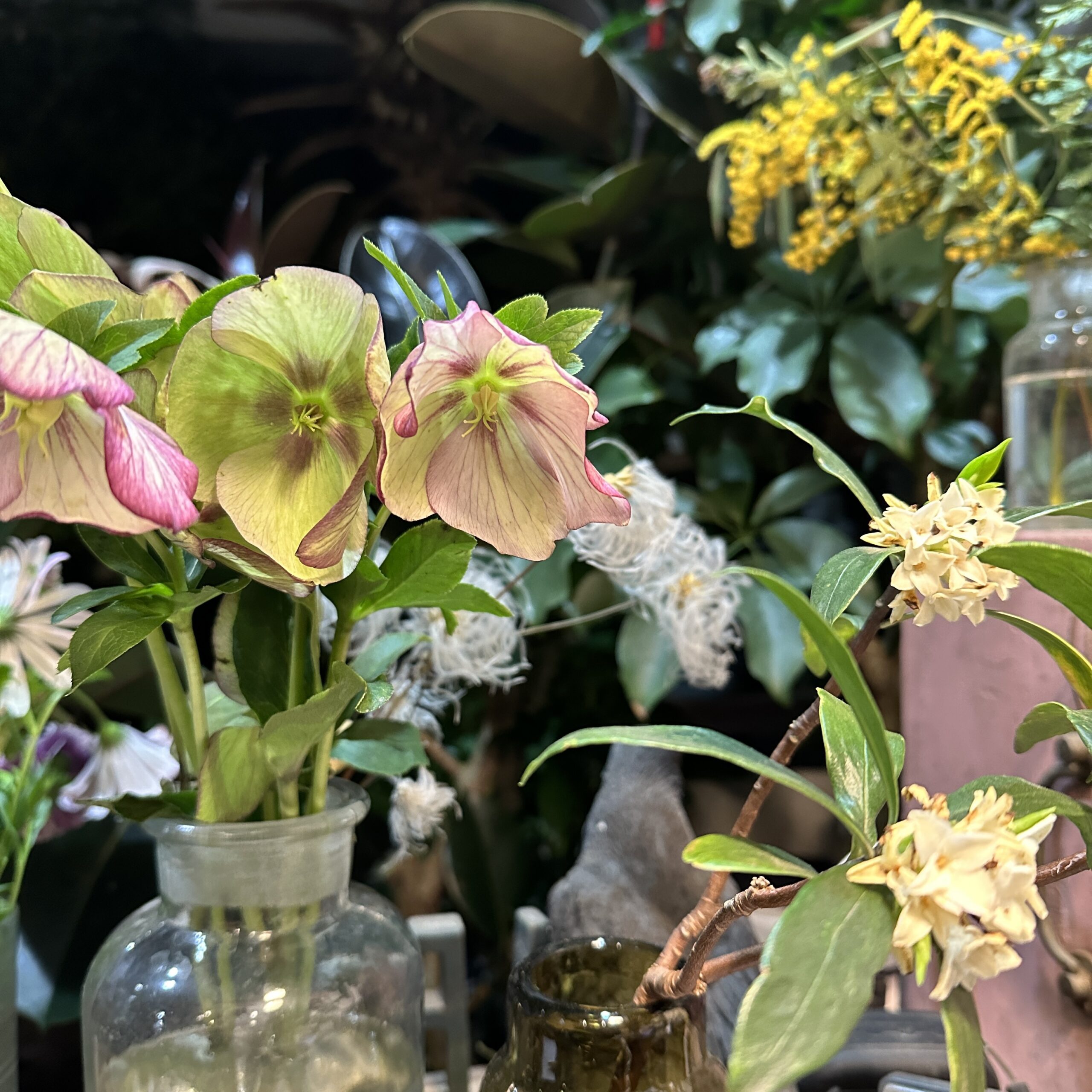 img_1259.jpg – LUFF